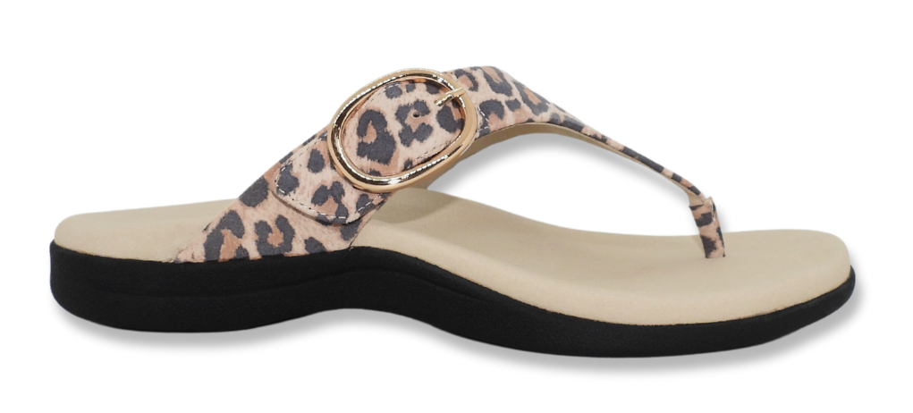ARCHES MOBY 2 – Footmaster
